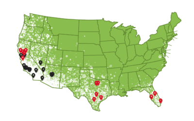 About Turf Distributors