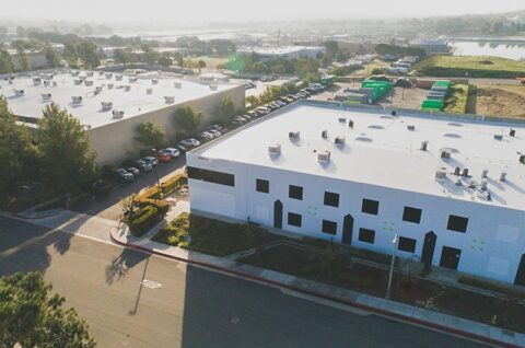 Artificial Grass and Turf Distributors