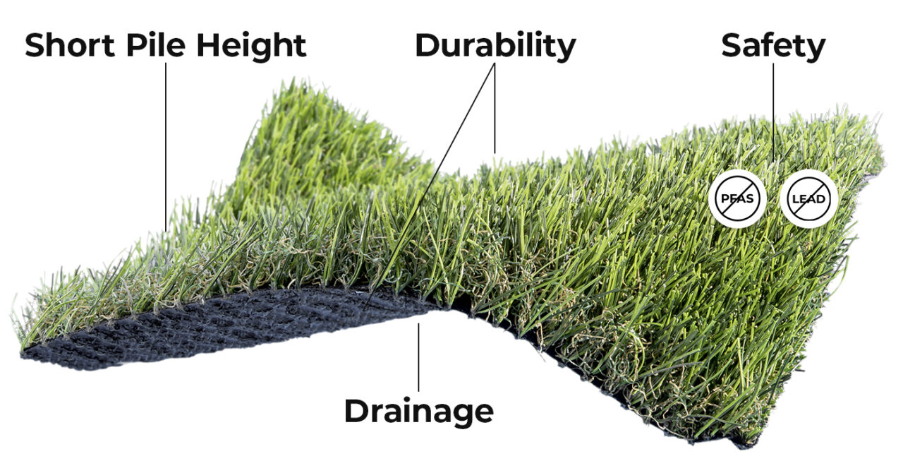 Paw Perfect Turf Guide | Turf Distributors