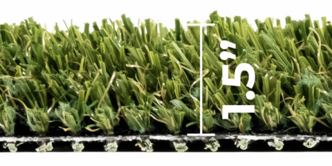 Paw Perfect Turf Guide | Turf Distributors